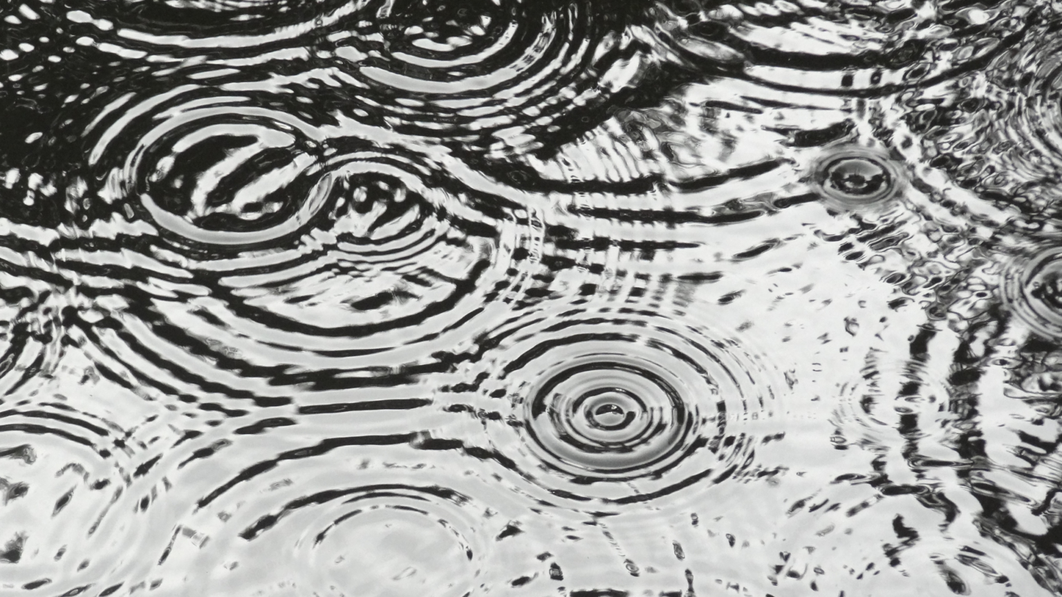 The Ripple Effect: Inspiring the Next Generation of Givers - RESPOND Inc.